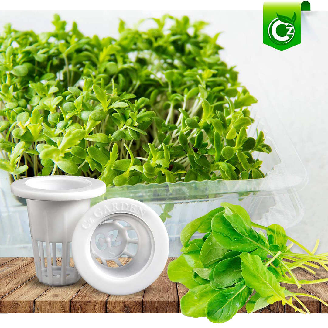 1 inch Round Heavy Duty Pots Wide Lip Design – Cz Garden